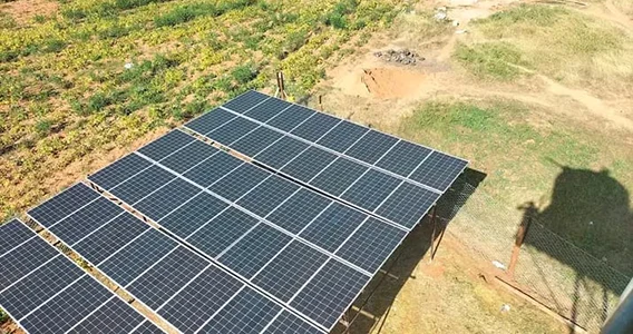 Seven SS Stars - Seven SS Stars